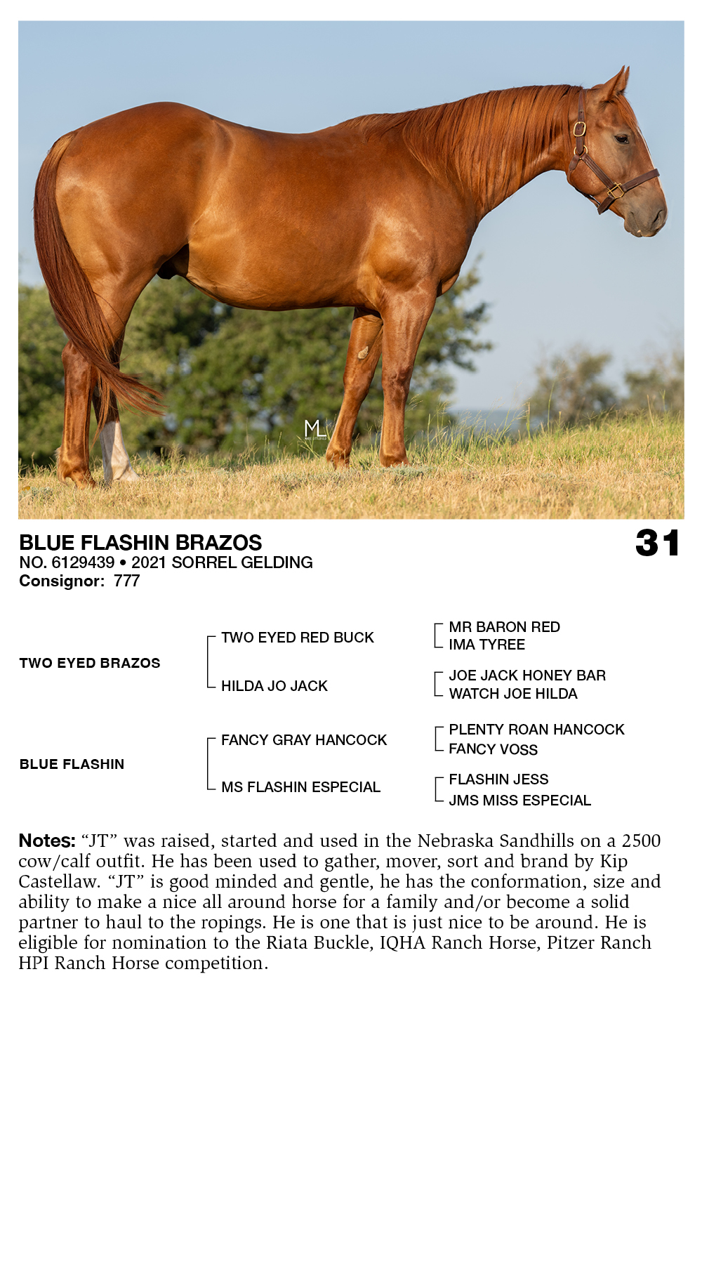 BLUE FLASHIN BRAZOS | Wier Ranch