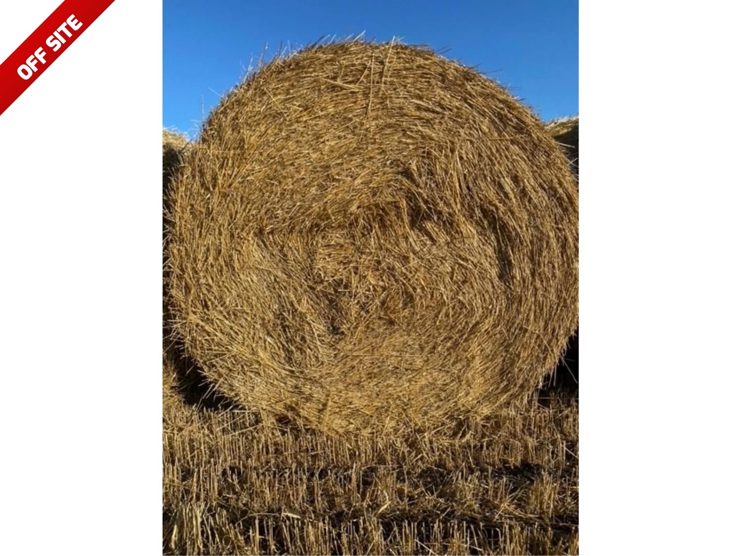 (25) Large Soft Core Wheat Straw Bales [24KA07023-005] | Team Auctions
