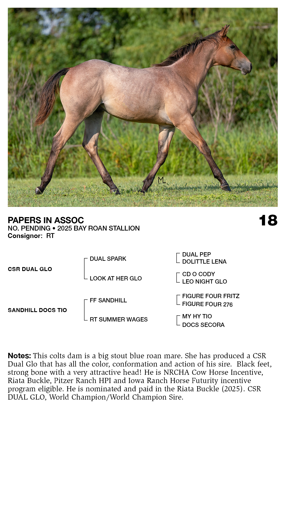 PAPERS IN ASSOC | Wier Ranch