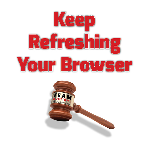 KEEP REFRESHING YOUR BROWSER | Team Auctions