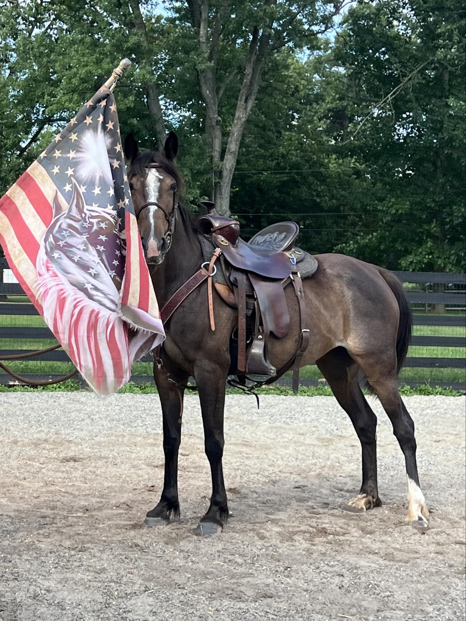 LEXI | Magic Horse Auction