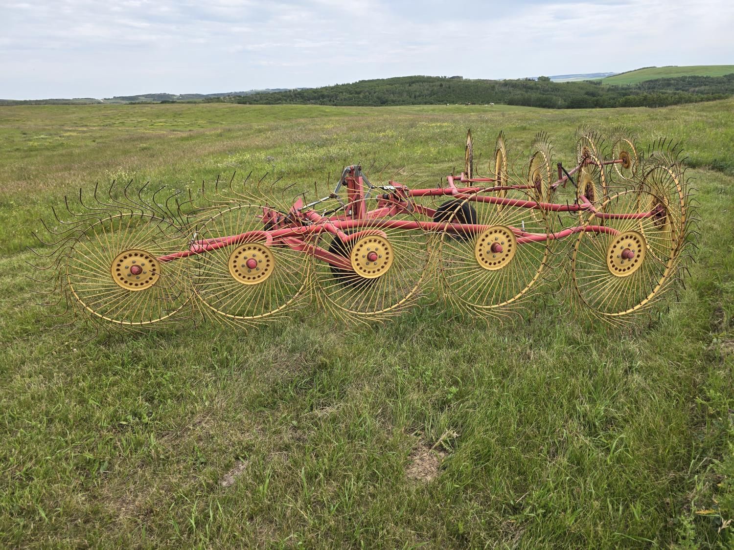 Tonutti RCS 10 10 Wheel V-Rake [25IP02018-018] | Team Auctions