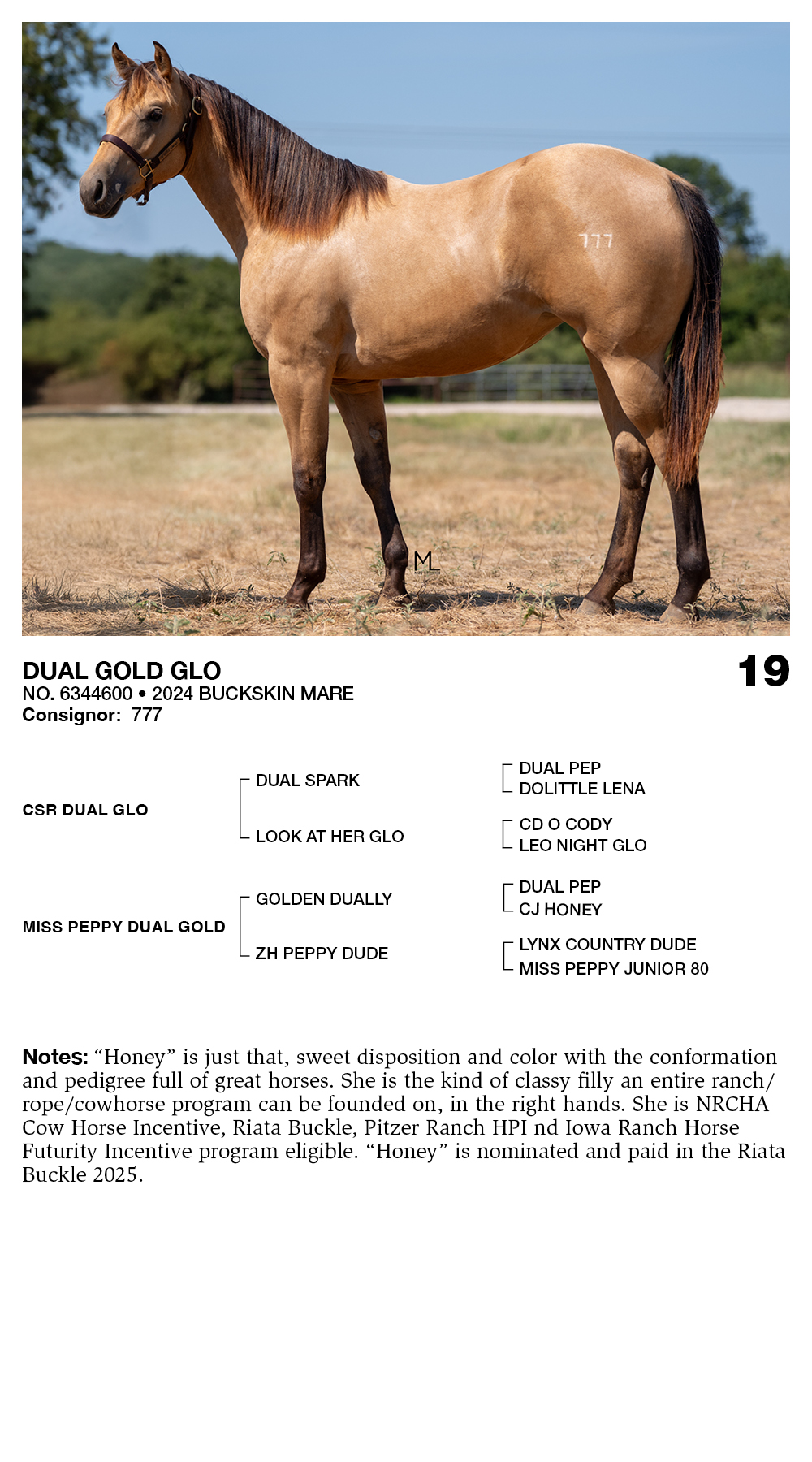 DUAL GOLD GLO | Wier Ranch