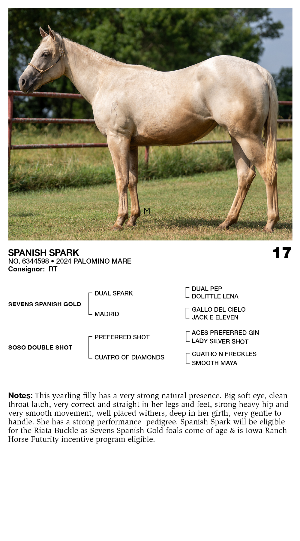 SPANISH SPARK | Wier Ranch