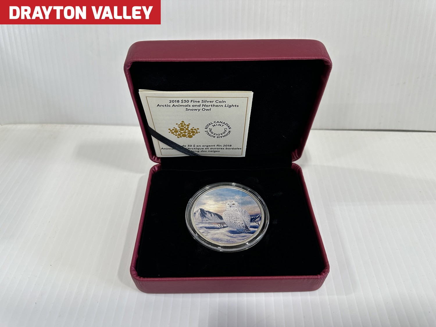 Royal Canadian Mint Coin - Arctic Animals and Northern Lights: Snowy ...