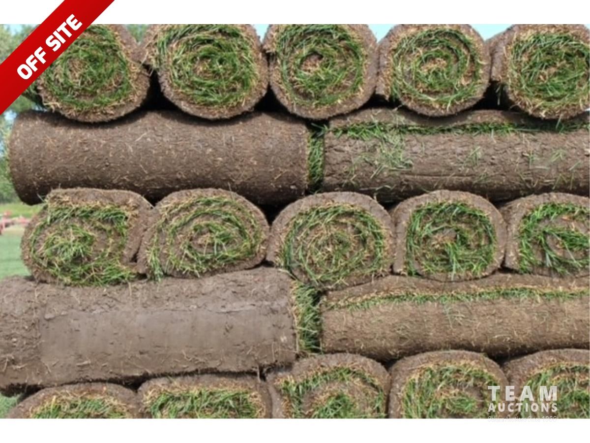 300 Sq Ft Kentucky Blue Grass Sod [24EE02018-015] | Team Auctions