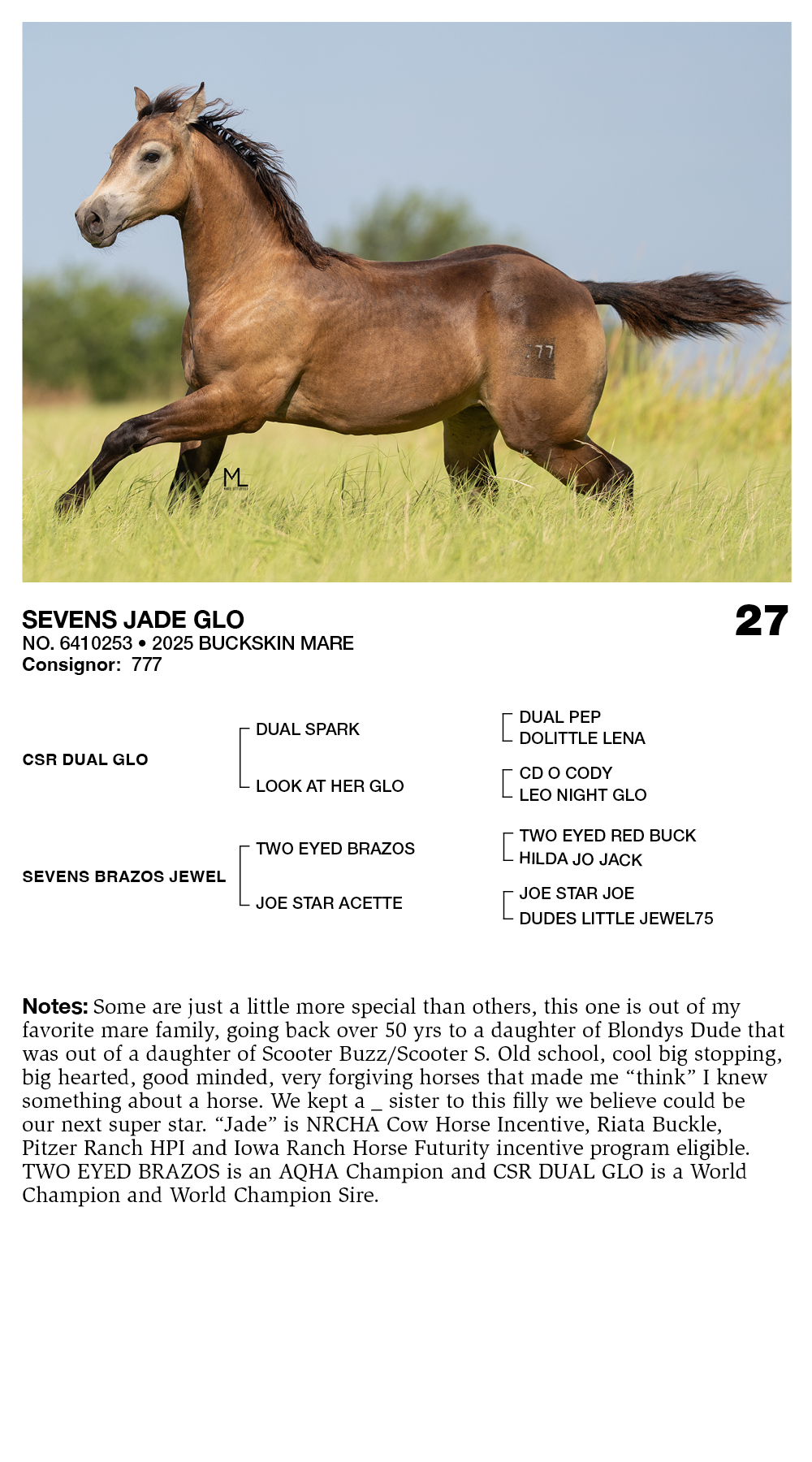 SEVENS JADE GLO | Wier Ranch