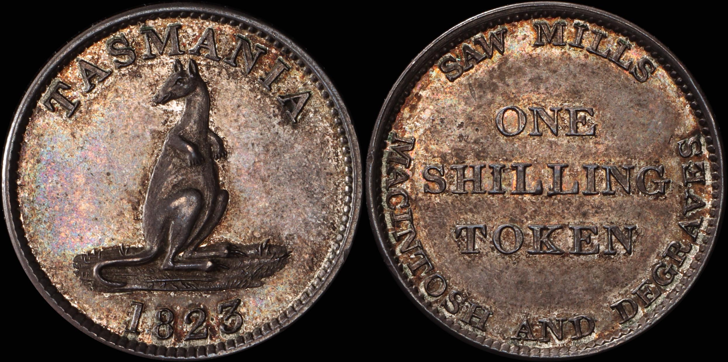 Past Auctions | Status International