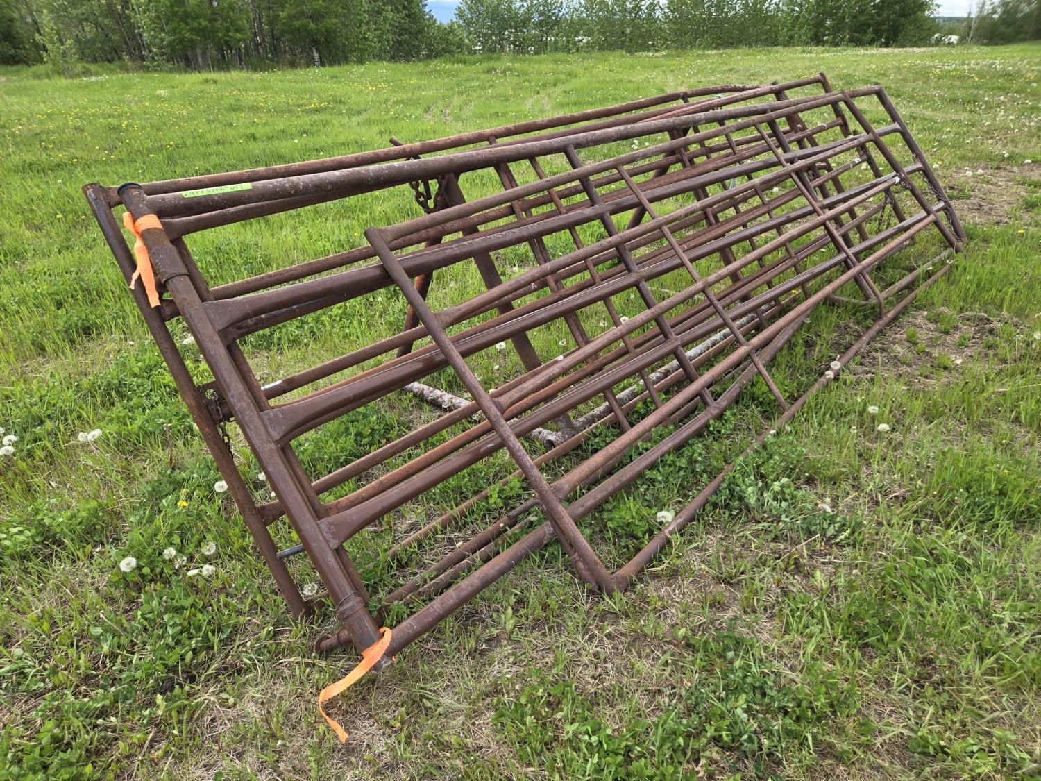 (4) Medium Duty 5 Bar Gates, (1) 16 Ft Heavy Duty Gate [24FE37001-017 ...