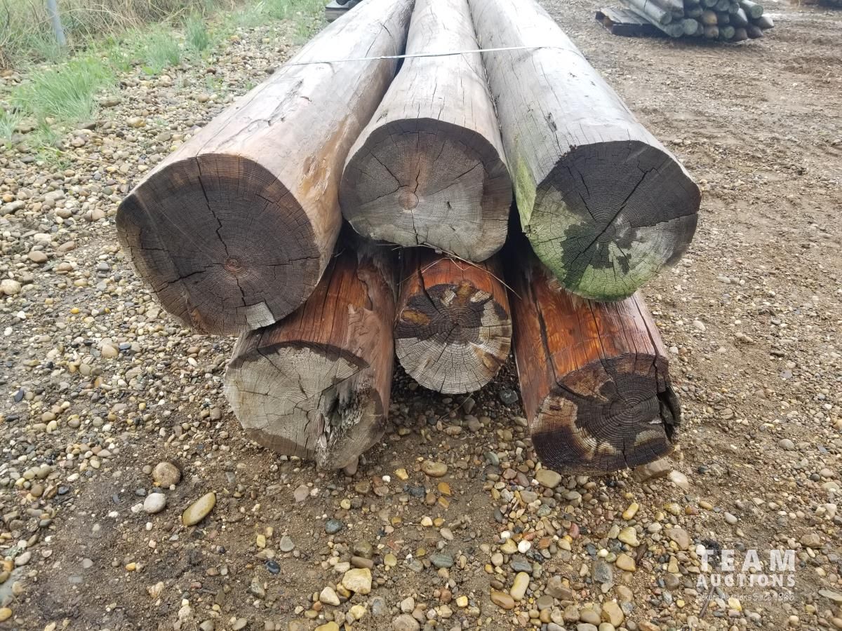 (5) 10 Ft Stub Poles [23GA07039-001] | Team Auctions