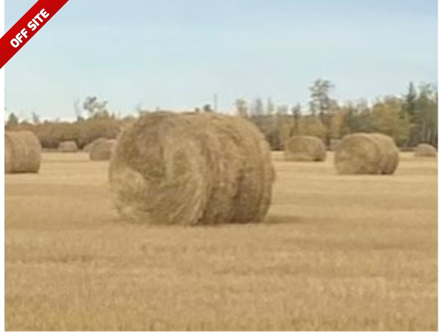 (25) Large Soft Core Wheat Straw Bales [24KA07023-005] | Team Auctions