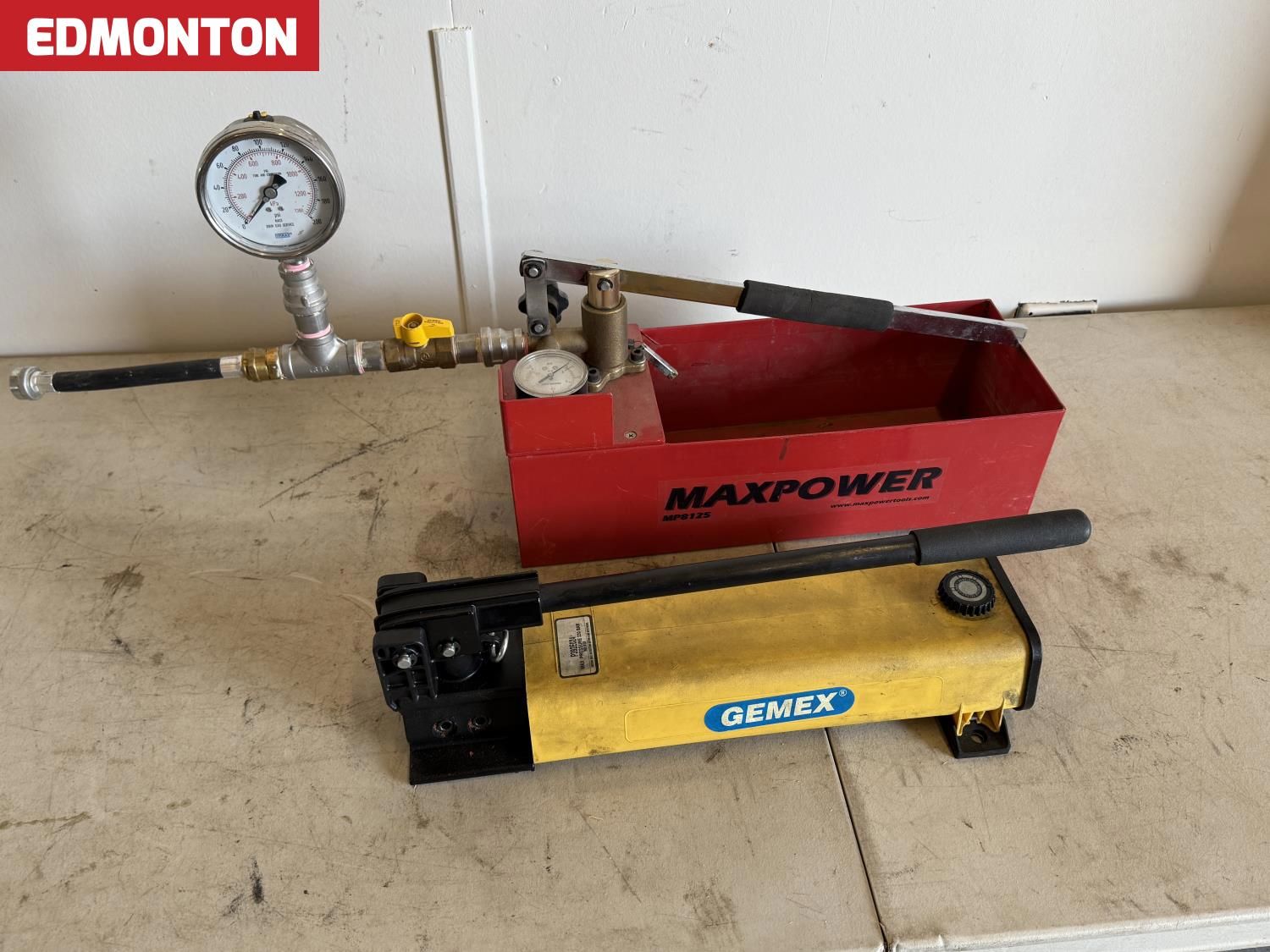 Couple Hand Pumps [25IN48012-042] | Team Auctions