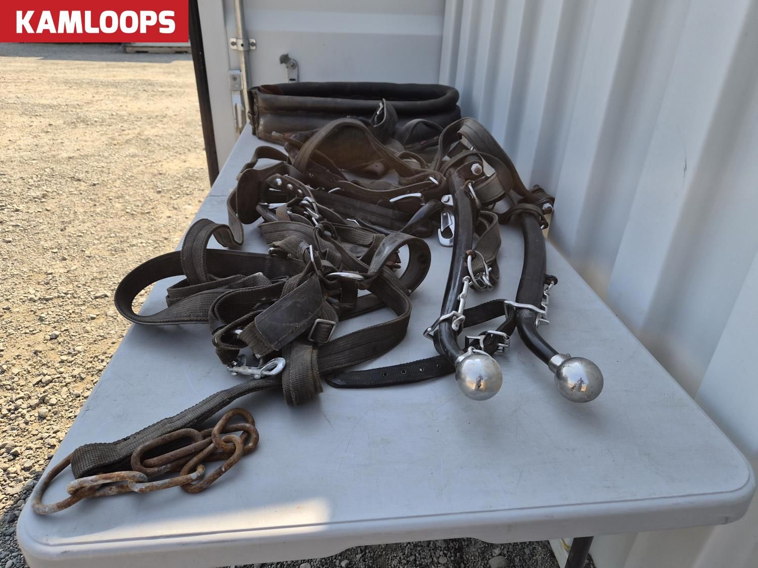 Carriage Harness Tack For Single Horse [25IB32008-016] | Team Auctions