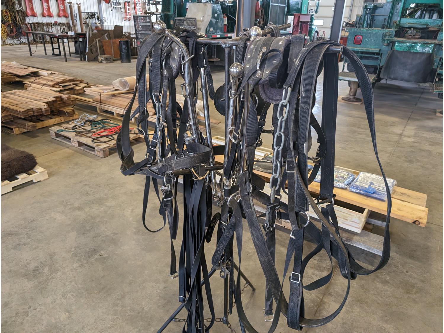 Aaron Martin Team Harness [24FK36001-157] | Team Auctions