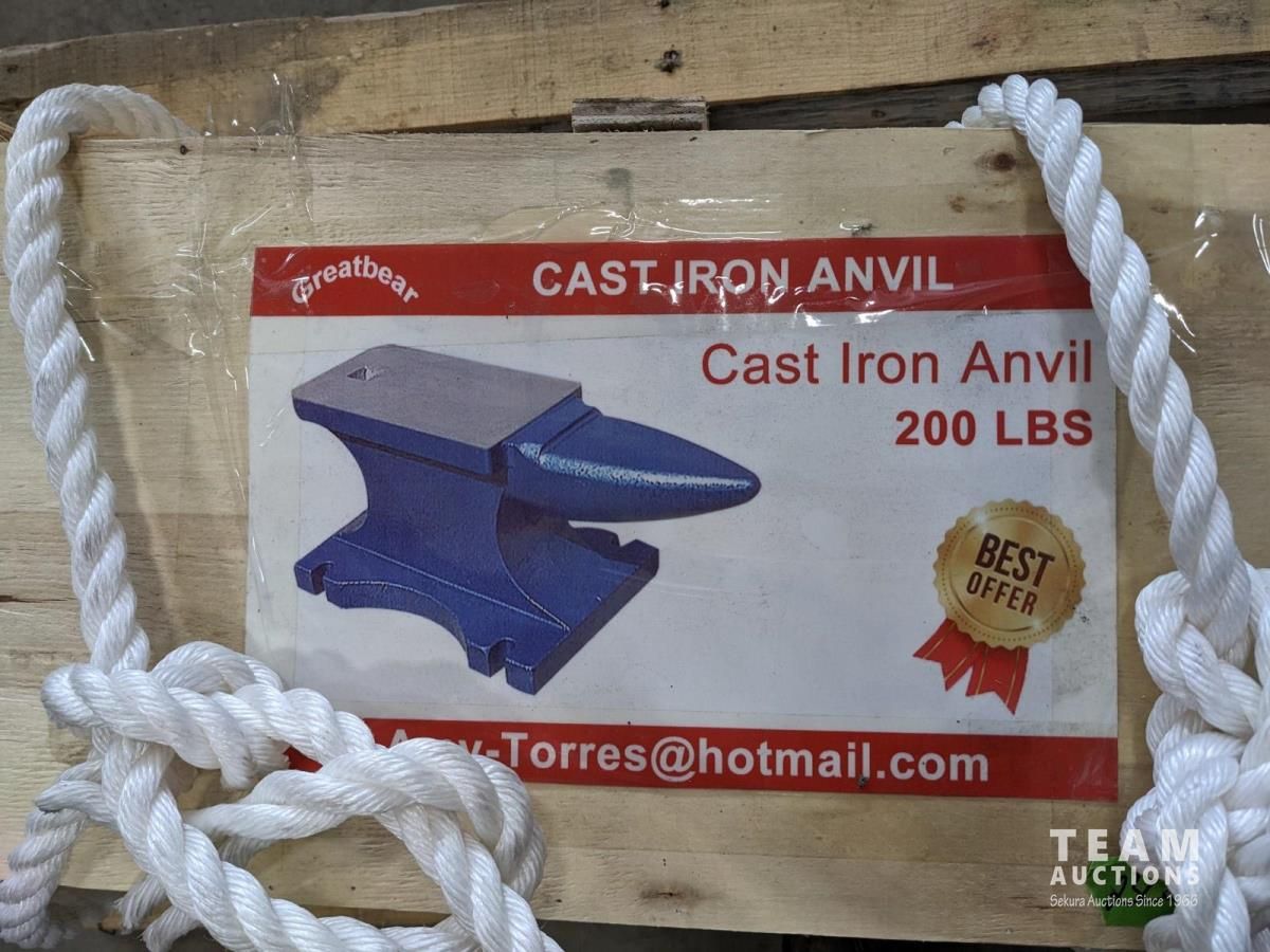 Greatbear 200 lb Cast Iron Anvil (Unused) [23FA03002-023] | Team Auctions