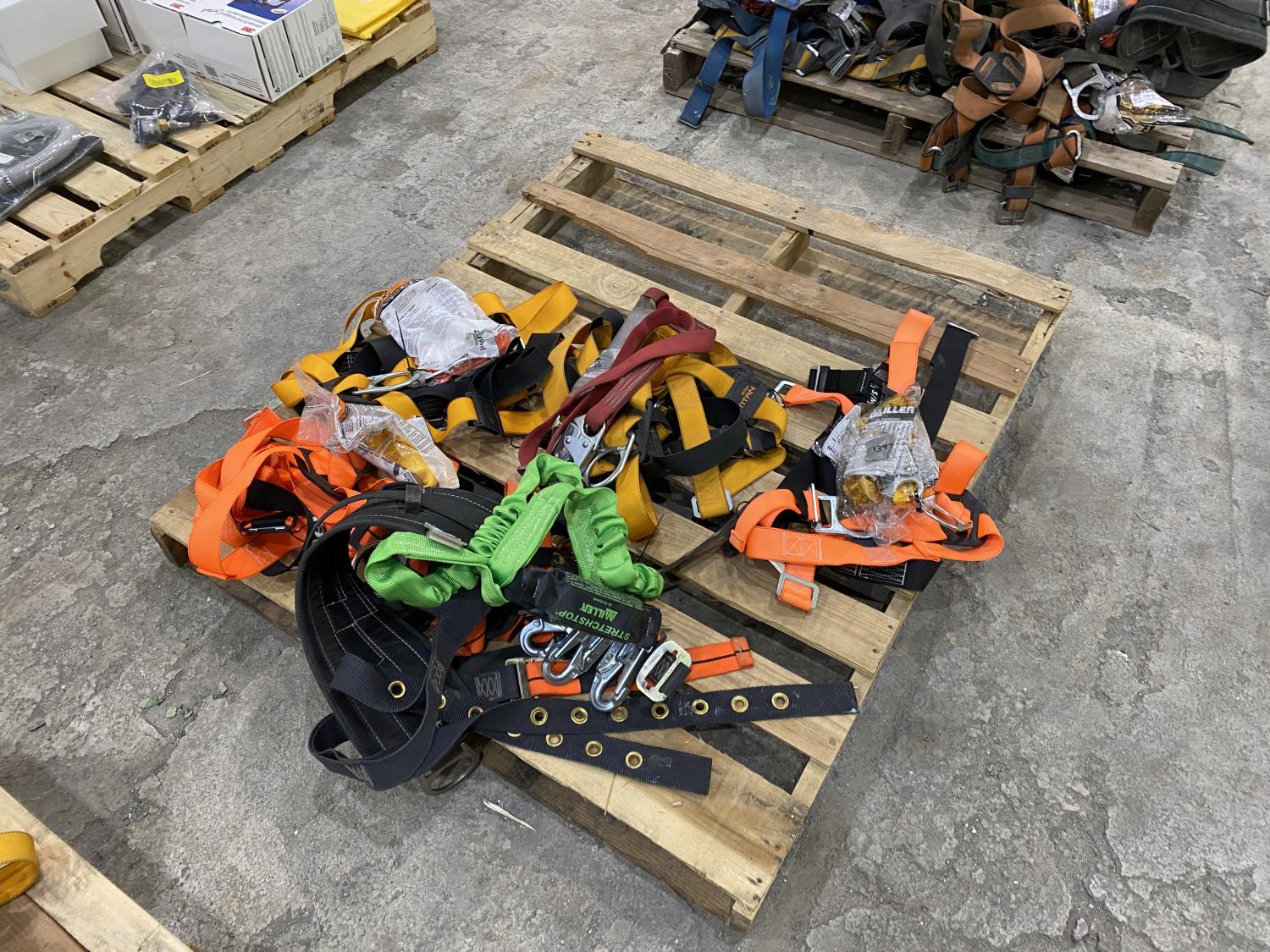 Qty of Misc Fall Arrest Harnesses w/ Lanyards [25IO02002-397] | Team ...