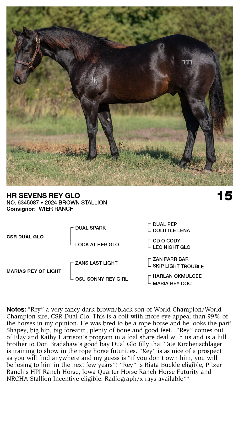 HR SEVENS REY GLO | Wier Ranch