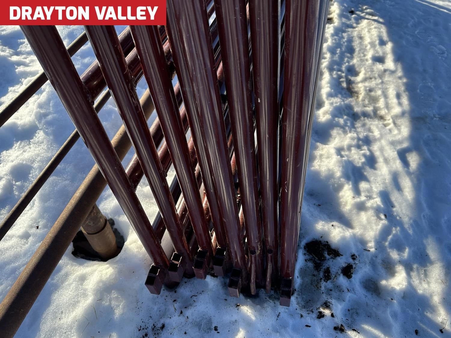 (8) 10 Ft Medium Duty 6 Bar Prairie Panels [26AB90005-003] | Team Auctions