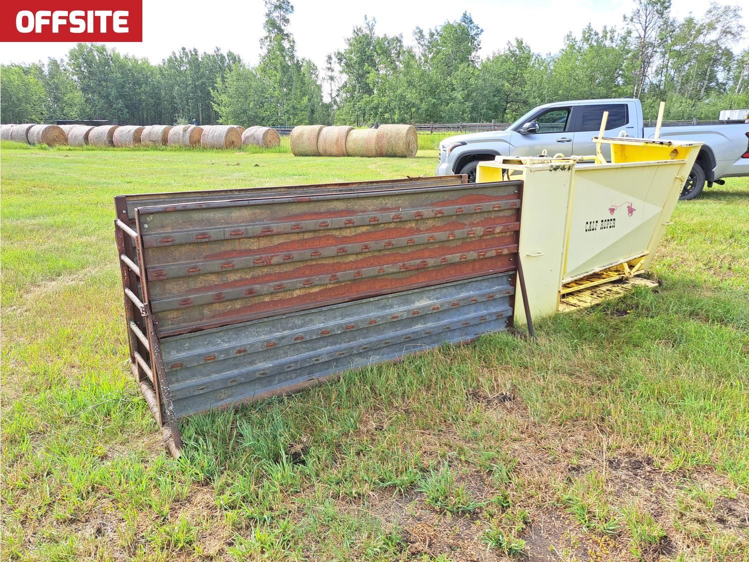 Right Hand Calf Tipping Table with 8 Ft Chute [25IE07001-007] | Team ...