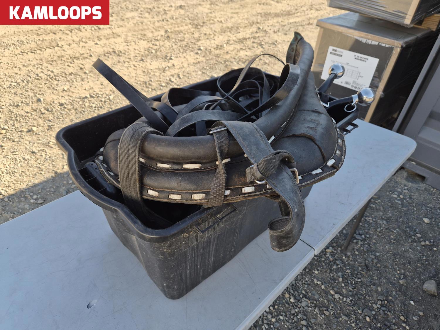 Carriage Harness Tack For Single Horse [25IB32008-015] | Team Auctions