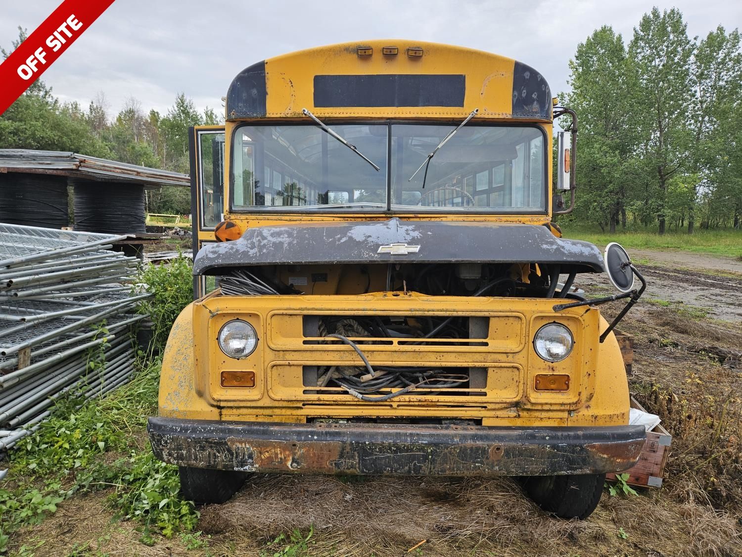 1979 Chevrolet C60 School Bus (Inoperable) [24IC05003-089] | Team Auctions