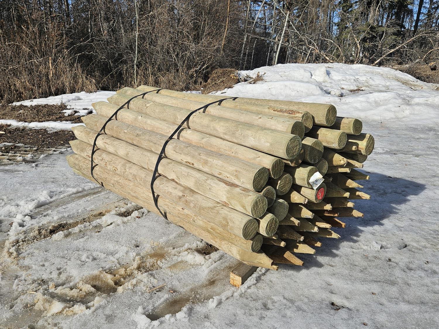 (50) 5-6 Inch X 8 Ft Treated Fence Posts (Unused) [25CD10993-012 ...
