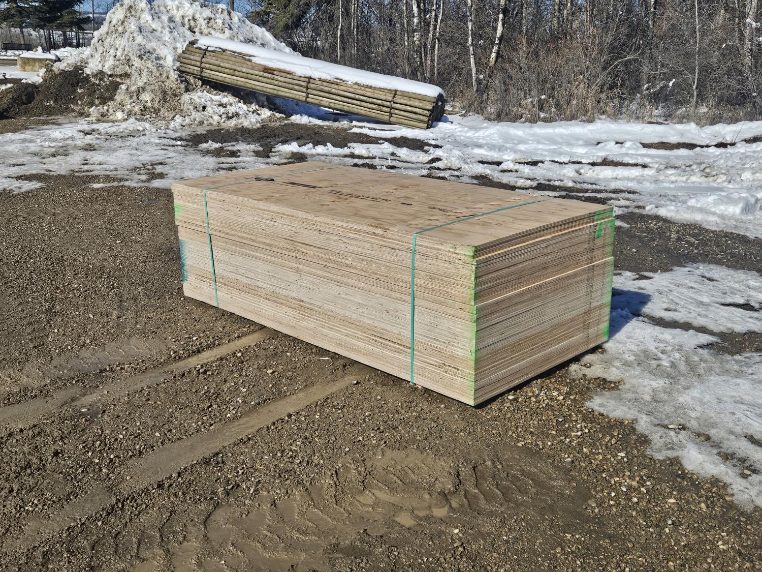 (40±) 18.5 mm Utility Grade Plywood (Unused) [25DG10997-012] | Team ...
