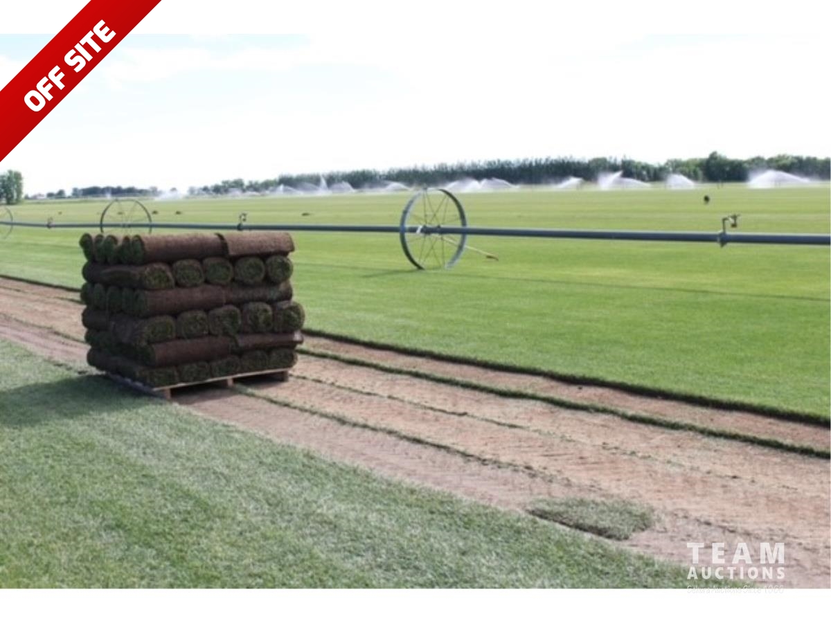300 Sq Ft Kentucky Blue Grass Sod [24EE02018-015] | Team Auctions
