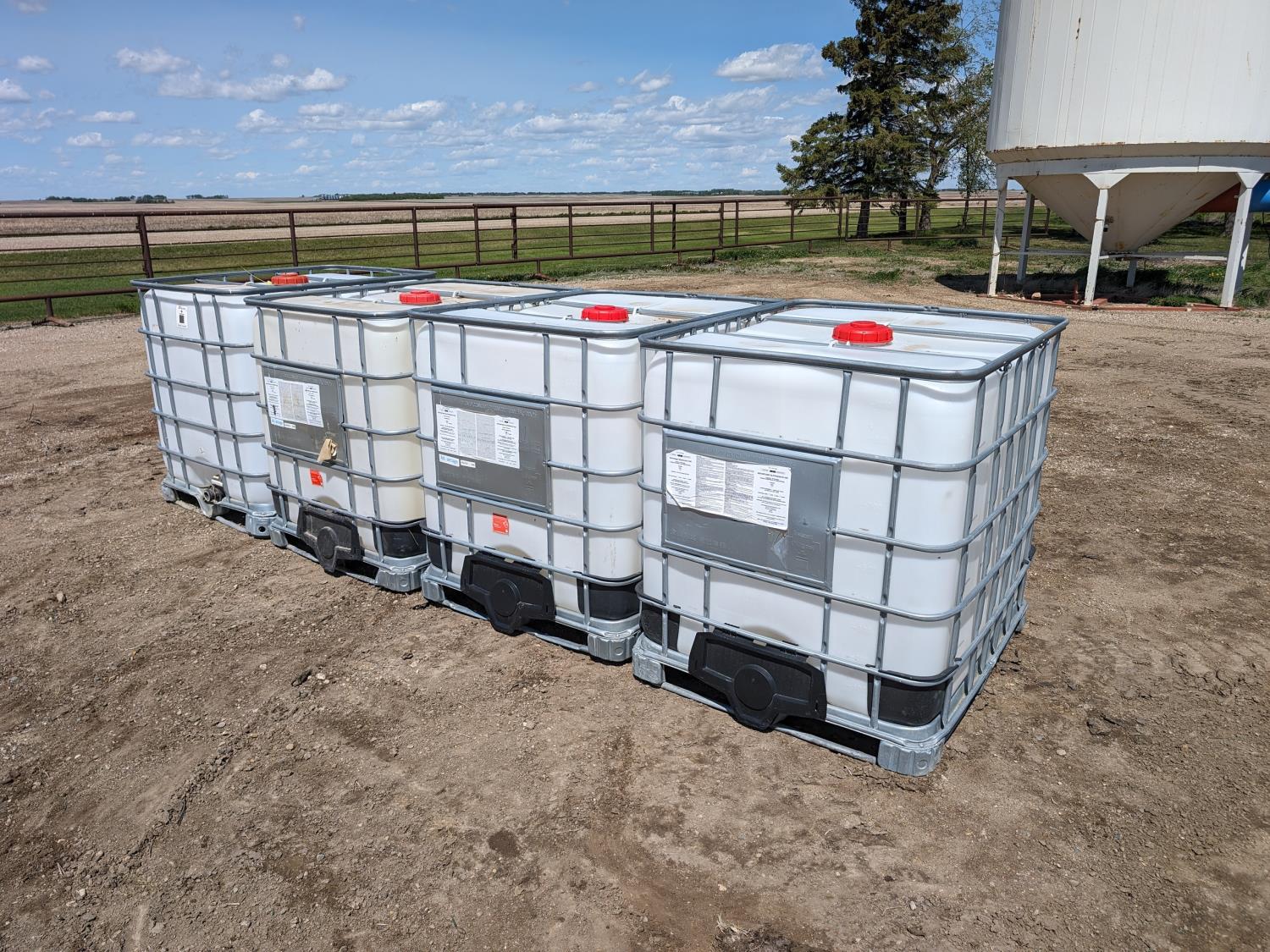 (4) 1000 Litre Poly Totes [24GI03001-525] | Team Auctions