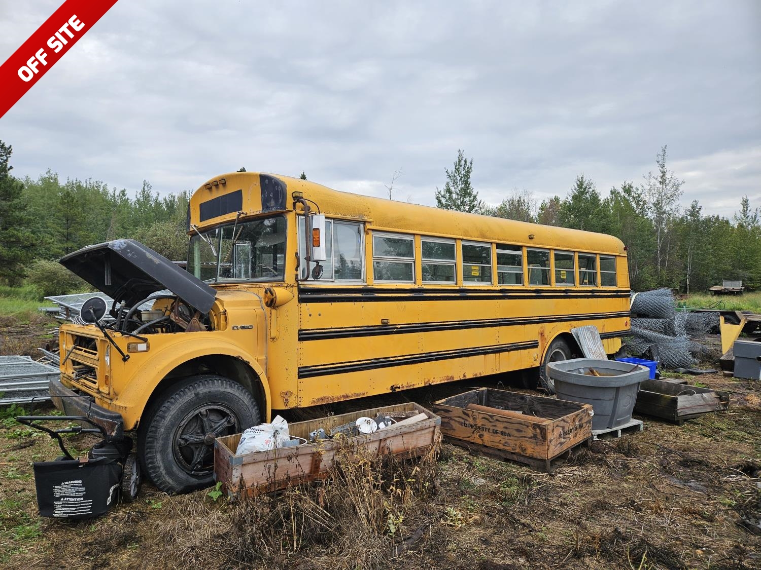 1979 Chevrolet C60 School Bus (Inoperable) [24IC05003-089] | Team Auctions