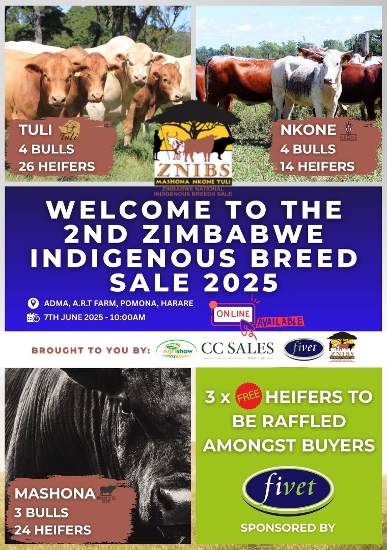 !!!ZIMBABWE NATIONAL INDIGENOUS BREED SALE - ADMA 2025!!! | CC Sales