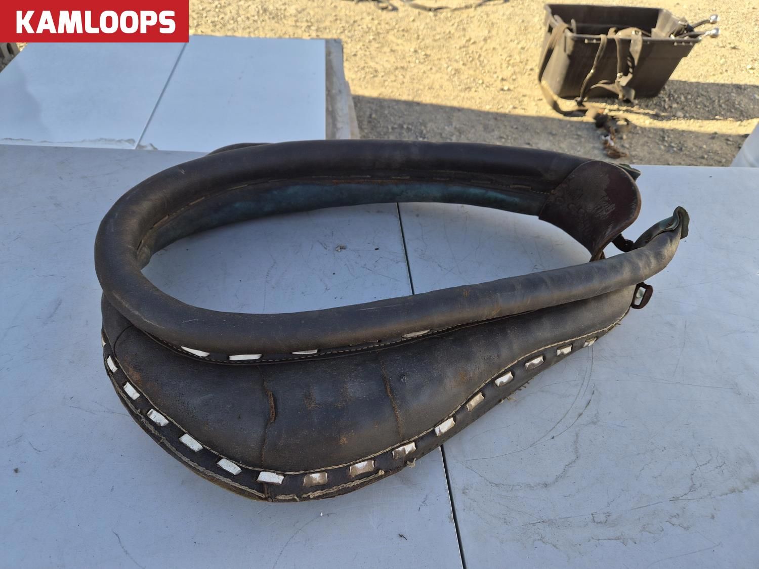 Carriage Harness Tack For Single Horse [25IB32008-015] | Team Auctions