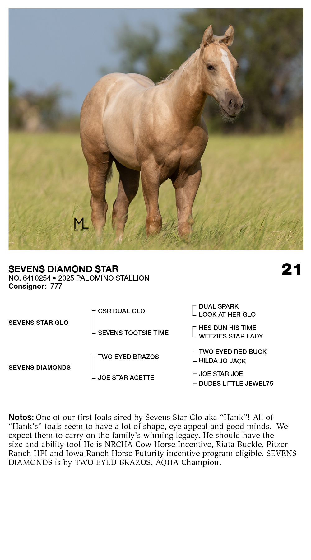 SEVENS DIAMOND STAR | Wier Ranch