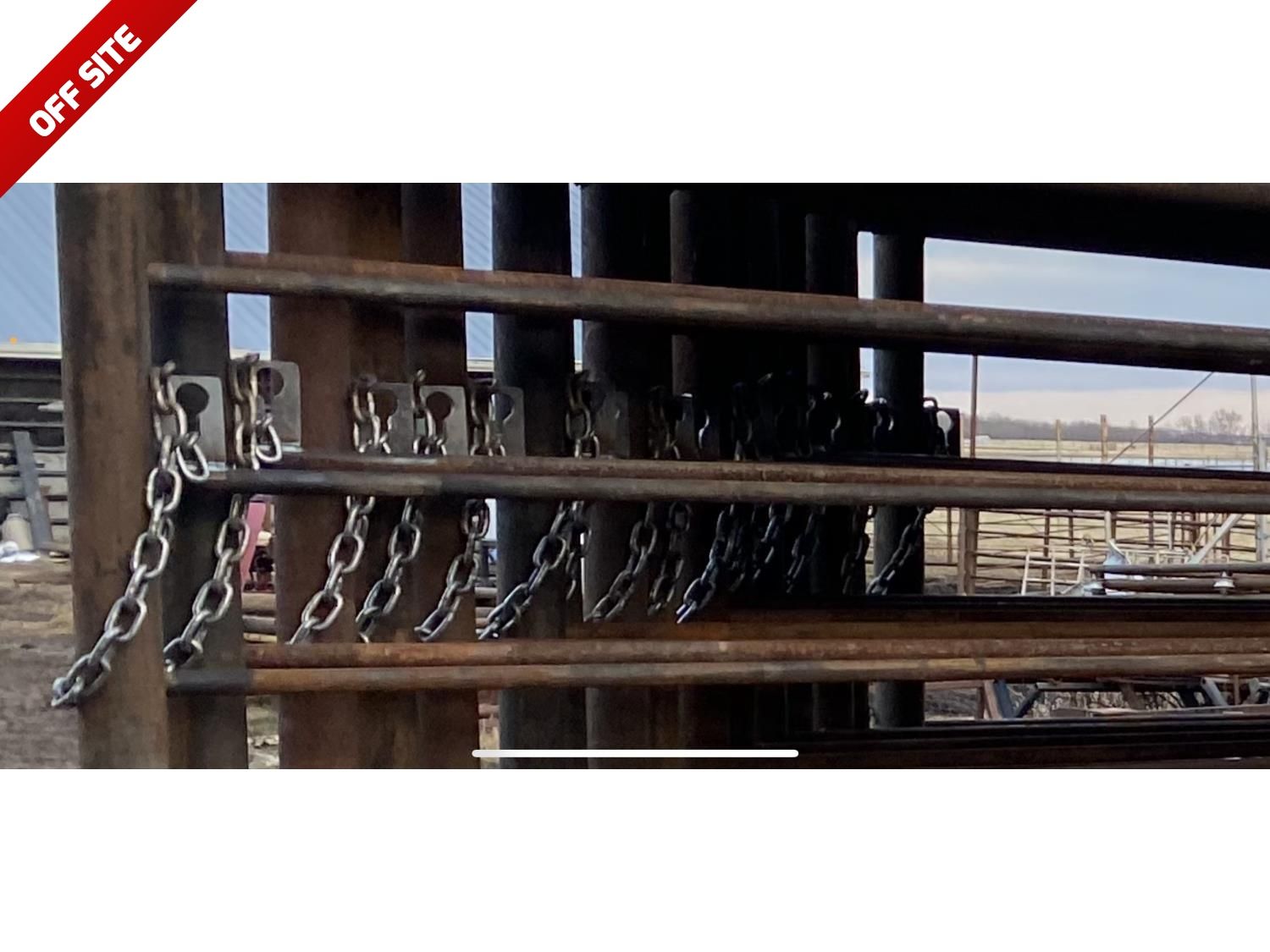 2025 (5) 24 Ft Free Standing Bison Panels [25DD44010-008] | Team Auctions