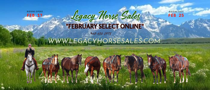February "Spring Fever" Select Online | Legacy Horse Sales