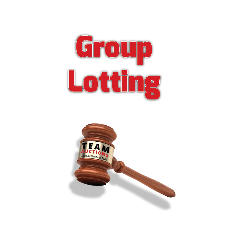 GROUP LOTTING | Team Auctions