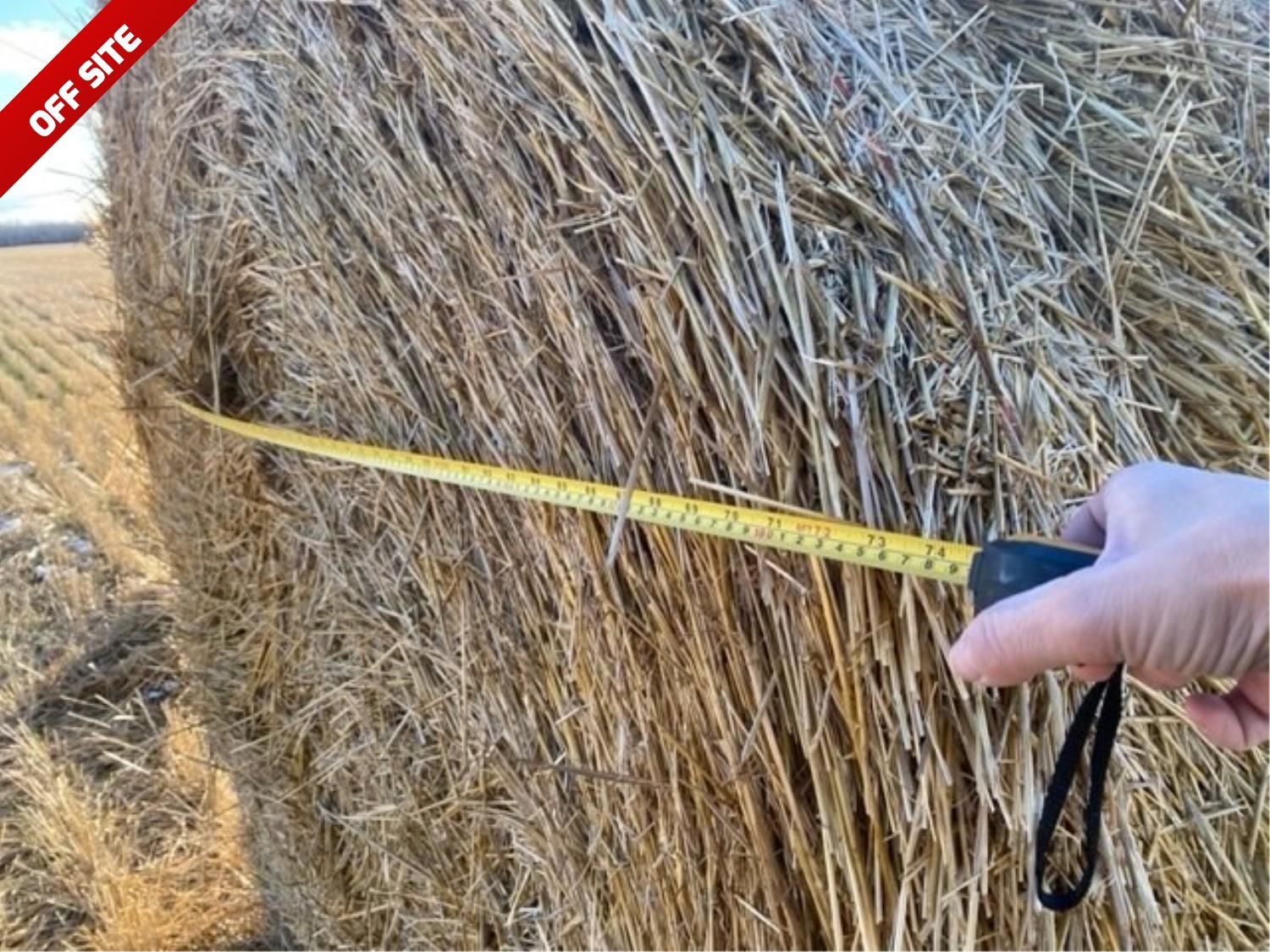 (25) Large Soft Core Wheat Straw Bales [24KA07023-005] | Team Auctions