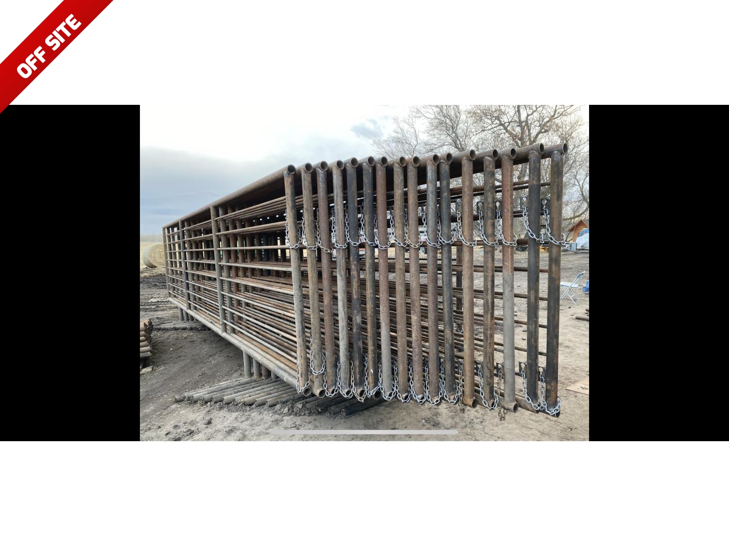 2025 (5) 24 Ft Free Standing Bison Panels [25DD44010-008] | Team Auctions