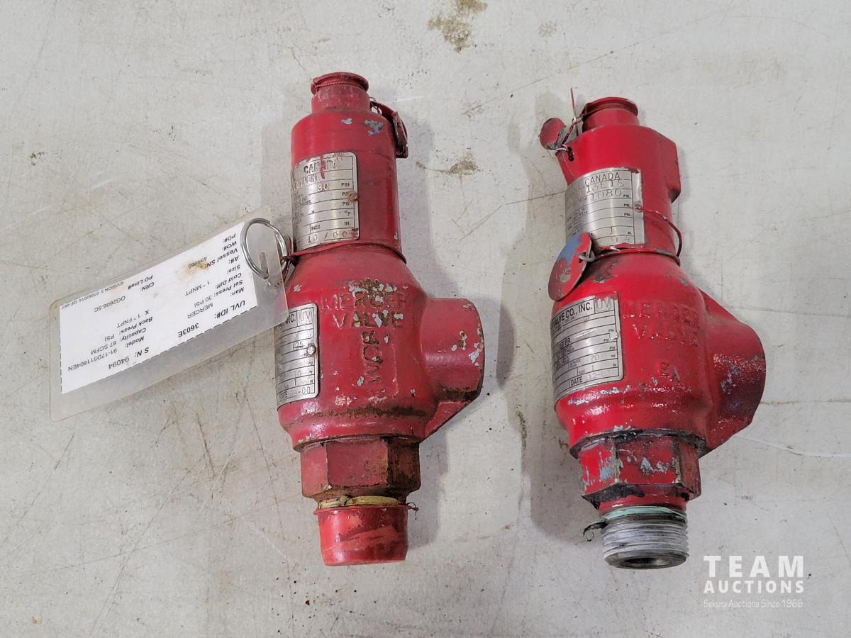 (2) Mercer 1 Inch Safety Relief Valves [23LC10016-007] | Team Auctions